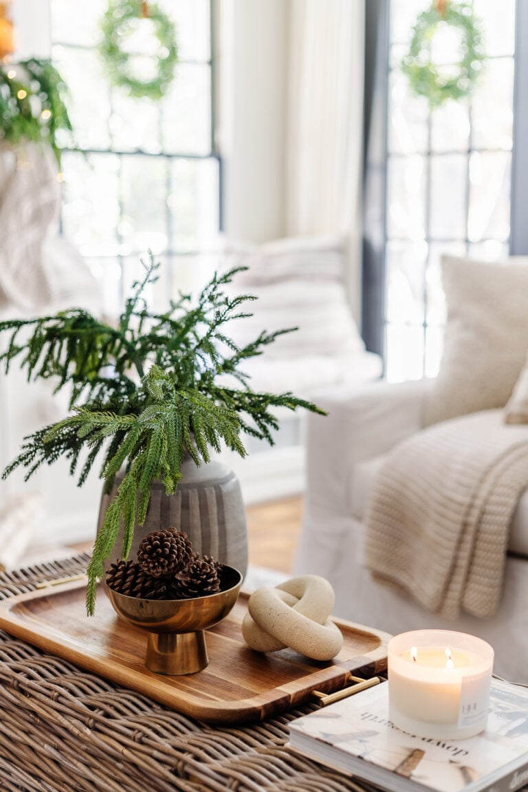14 Natural Decor Ideas to Bring Nature Indoors - Bless'er House